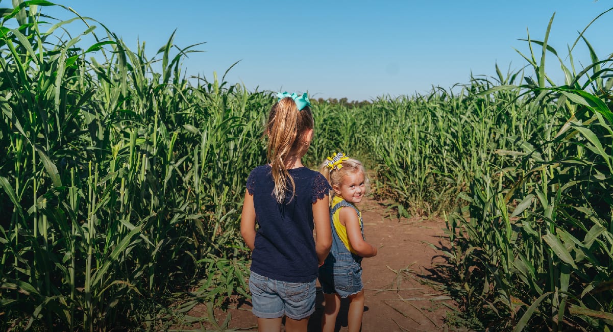 Family Fun at Local Farms – Do512 Family