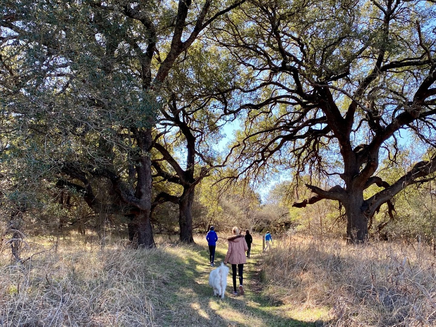 Best Camping Spots Around Austin – Do512 Family