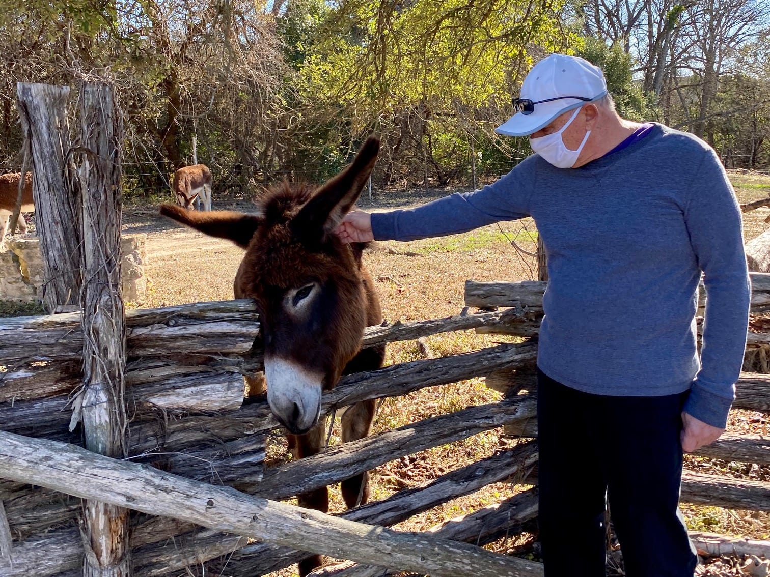 5 Things We Love About Pioneer Farms - Do512 Family