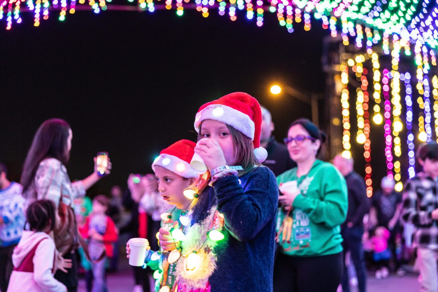 Everything You Need to Know About The 60th Annual Trail Of Lights ...